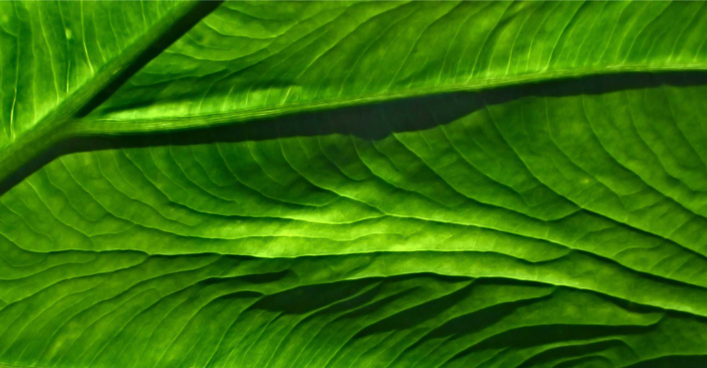 Sustainable Development - 2011 Sustainable Development Report | Swire ...